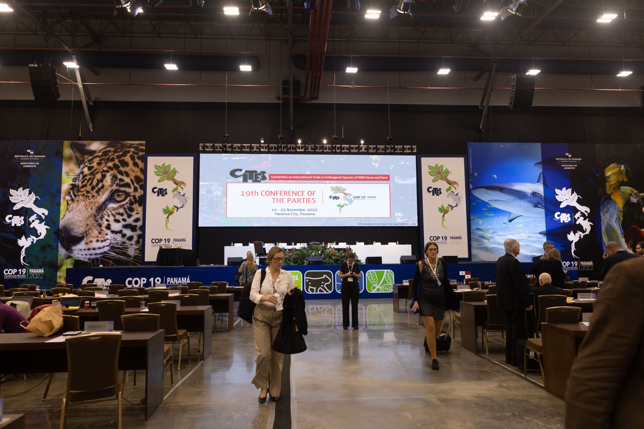 Panamá ante los ojos del mundo al recibir la CoP19 de Cites en el ...